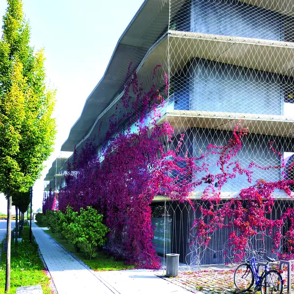 GREENING SYSTEMS WITH X-TEND MESH | Carcass, building envelope ...